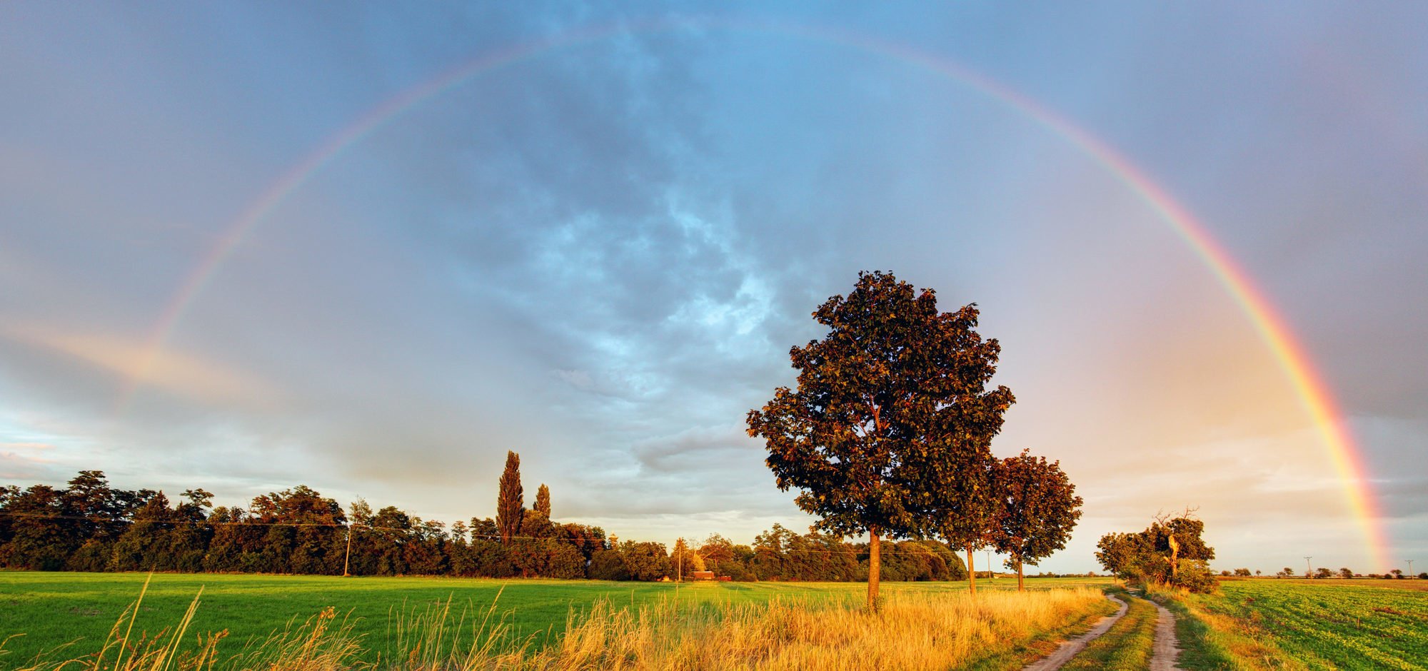 Oshumare, el Orisha de la serpiente y el arco iris - WeMystic