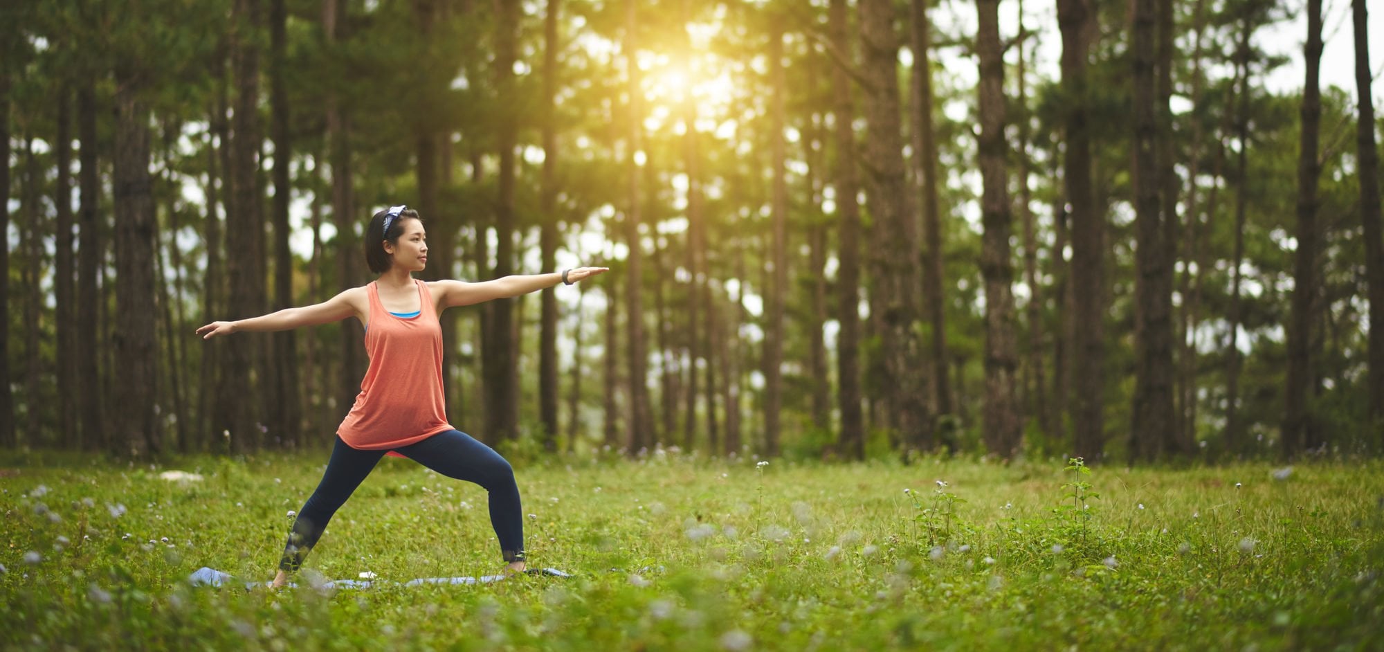 Dru Yoga, cómo conseguir la paz interior - WeMystic