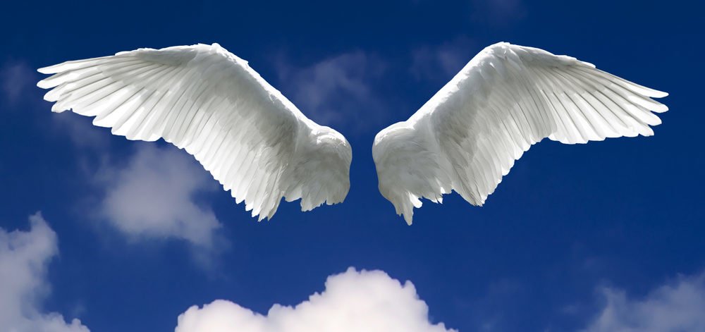 Rochel, el Ángel de la visión consciente - WeMystic