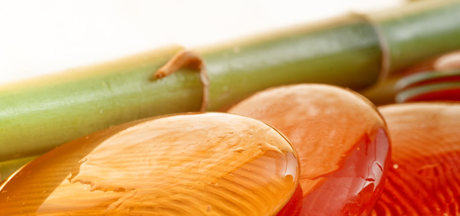 Conoce el Bambú Chino y su relación con el éxito - WeMystic