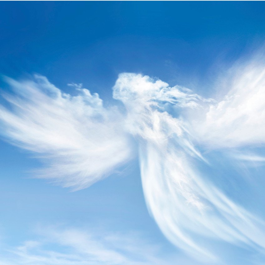 Serafines, los patriarcas angélicos y su función - WeMystic