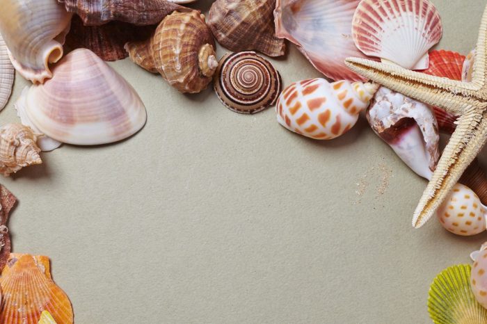 Conozca los 16 principales signos del Diloggun - WeMystic