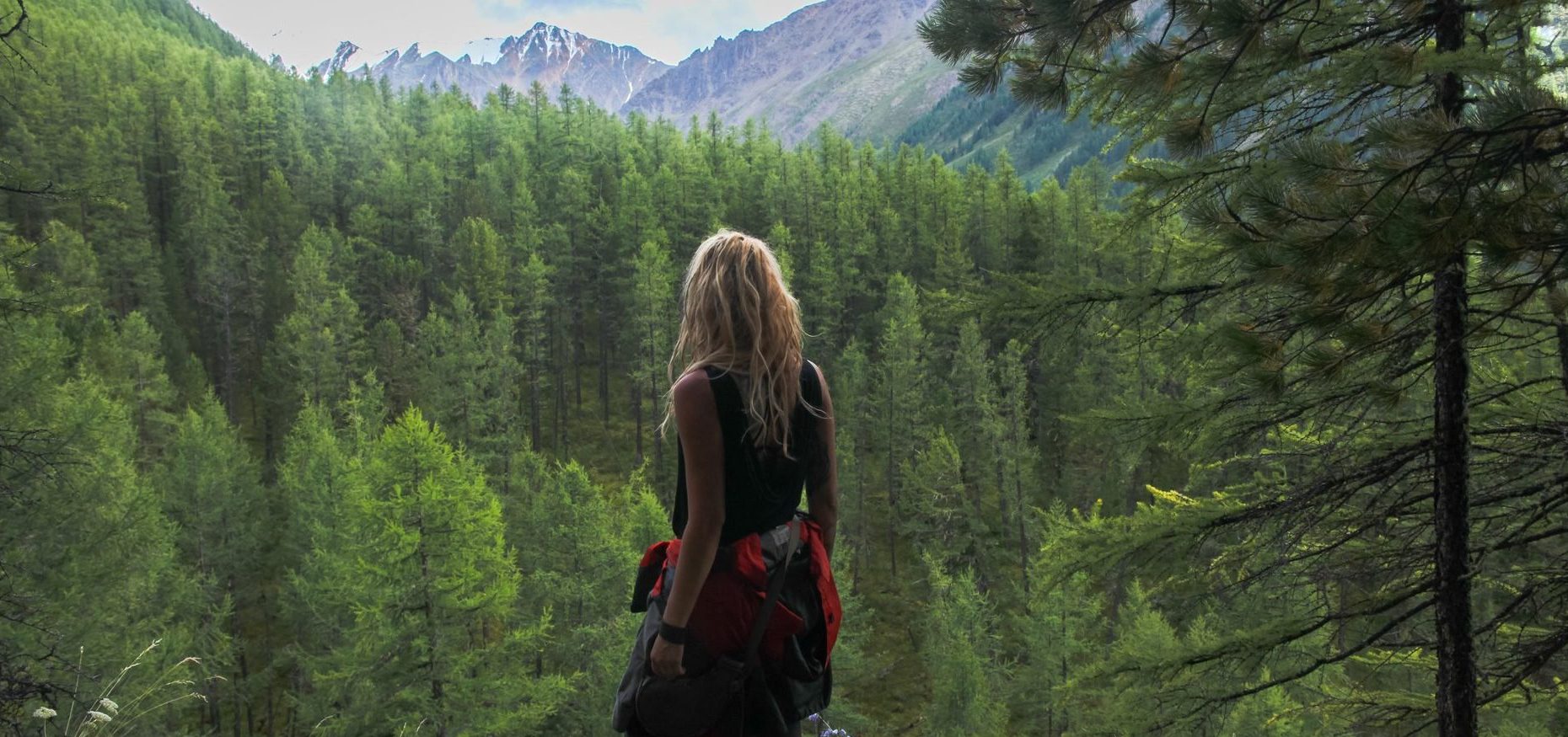 Forest bathing: why you should try it - WeMystic