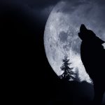 Luna del lobo, conoce los secretos de la Luna Llena de Enero - WeMystic