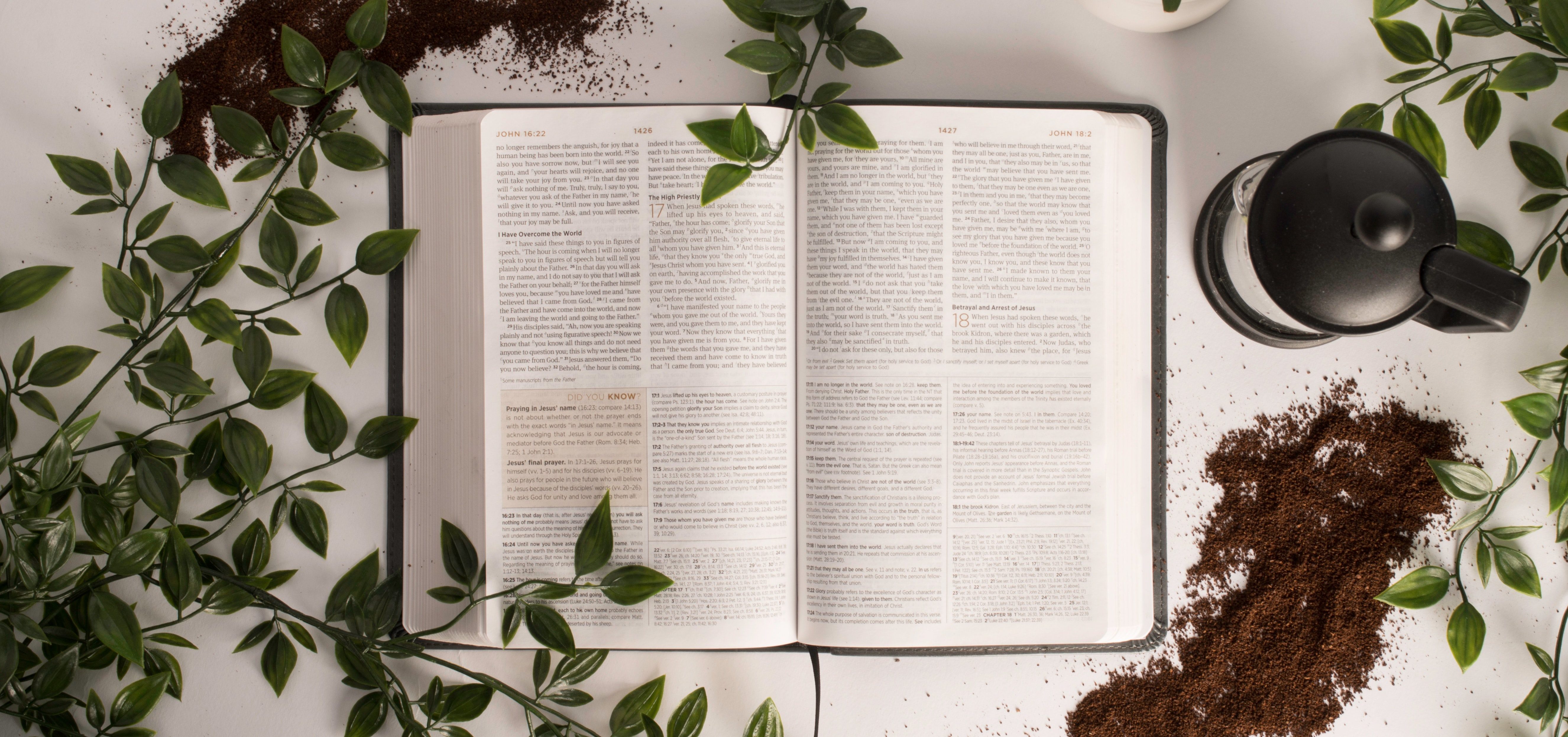 Psalm 58 A Cry Of The Righteous To God WeMystic