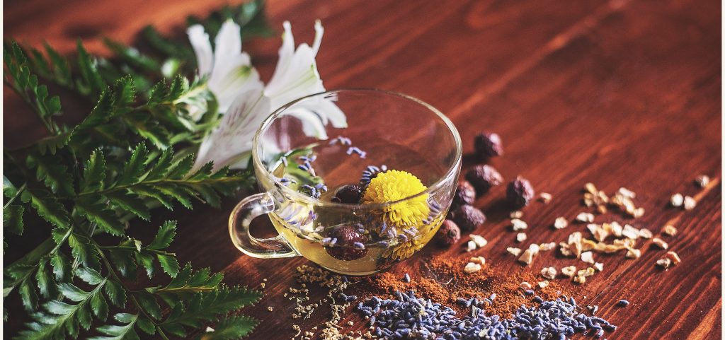 Unani medicine: from Greece to India - WeMystic