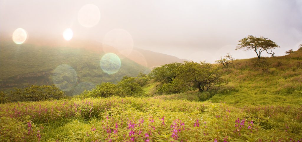 Shambala: the legend of a pure land - WeMystic