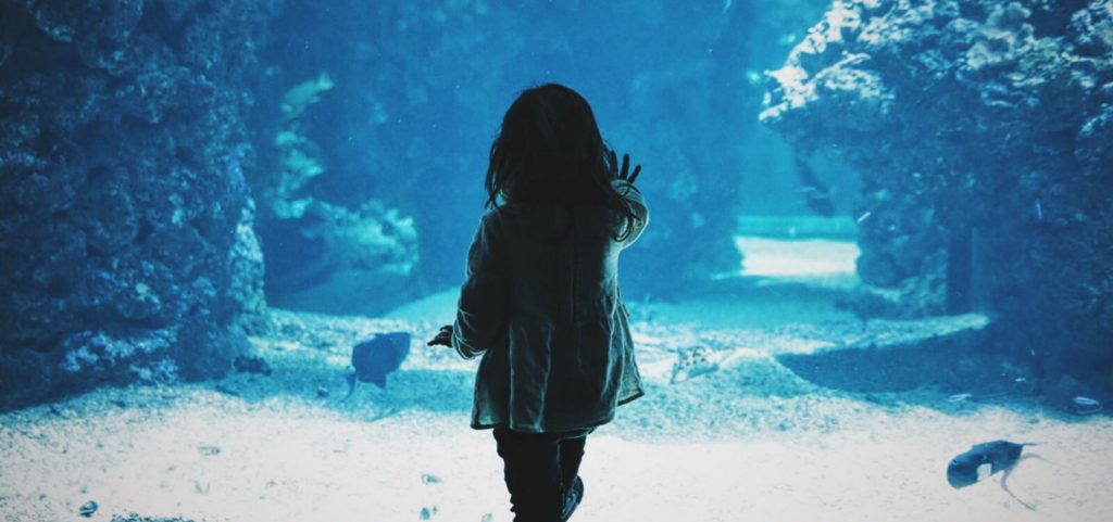 How do I know if my child is a crystal child? - WeMystic