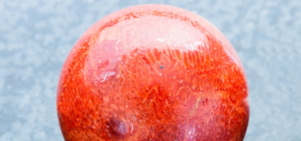 Red coral: properties and a simple ritual to attract luck - WeMystic