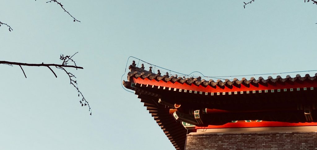 Chinese Horoscope for November: what it holds for you - WeMystic