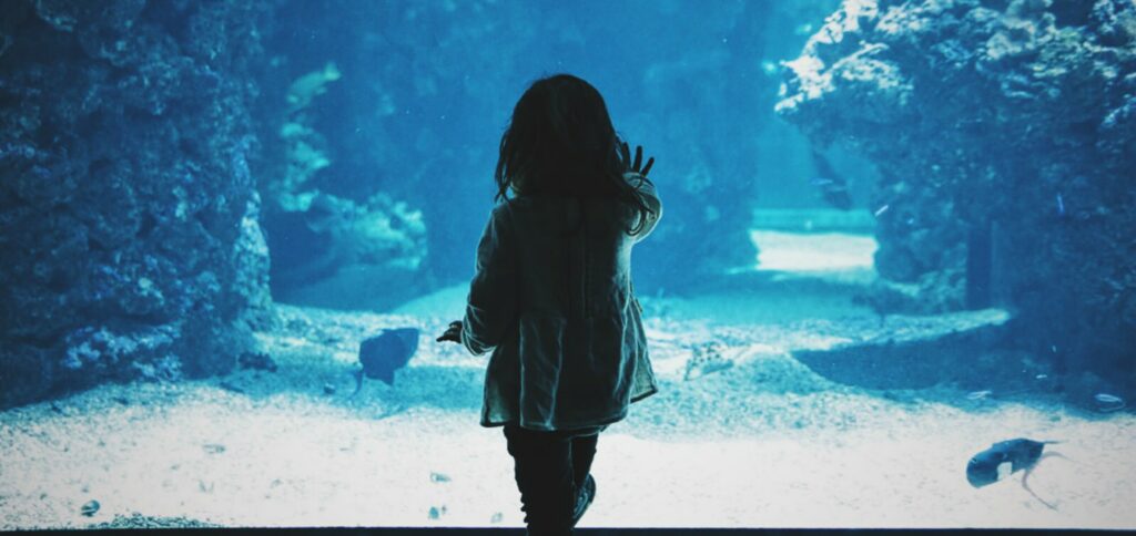 Diamond children: the invisible bright ones - WeMystic