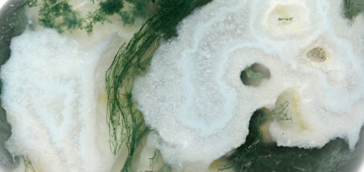 Tree Agate: how to use it for healing and balance - WeMystic