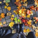 8 things to do in Autumn - WeMystic