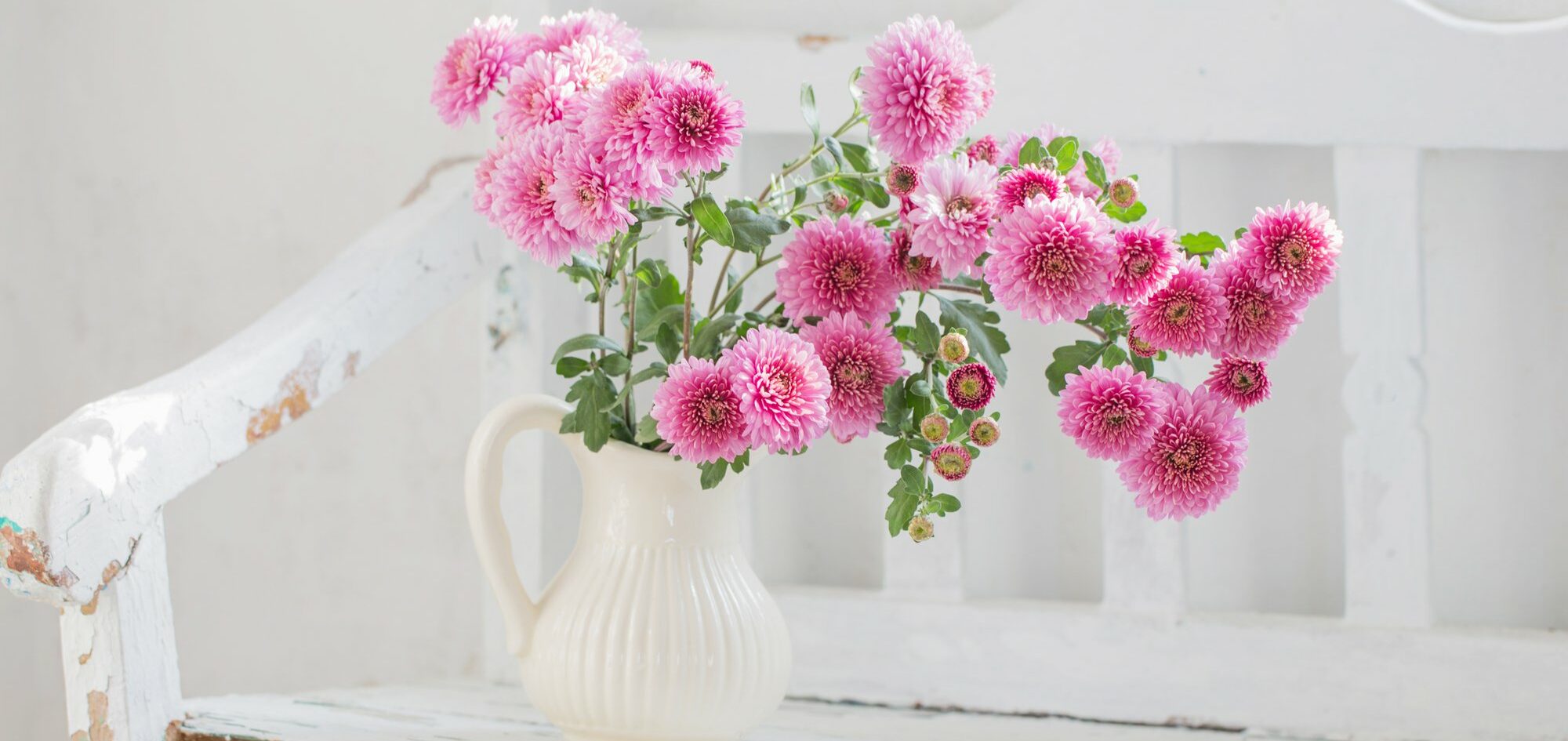 The oracle of the flowers for March 2021 - WeMystic