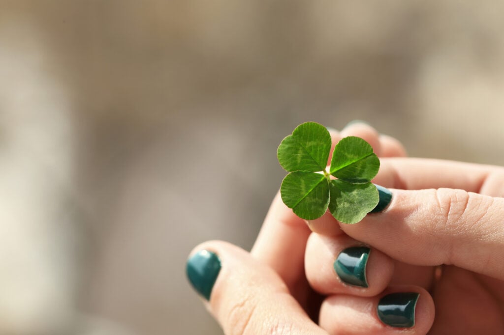 Four-leaf clover: the famous symbol of luck - WeMystic